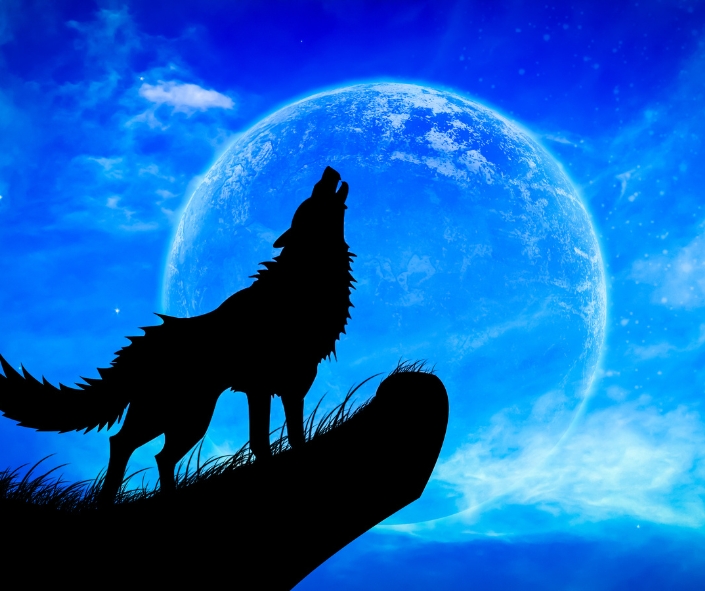 The Moon Phases and Animals - Relationship - Calendario Lunar